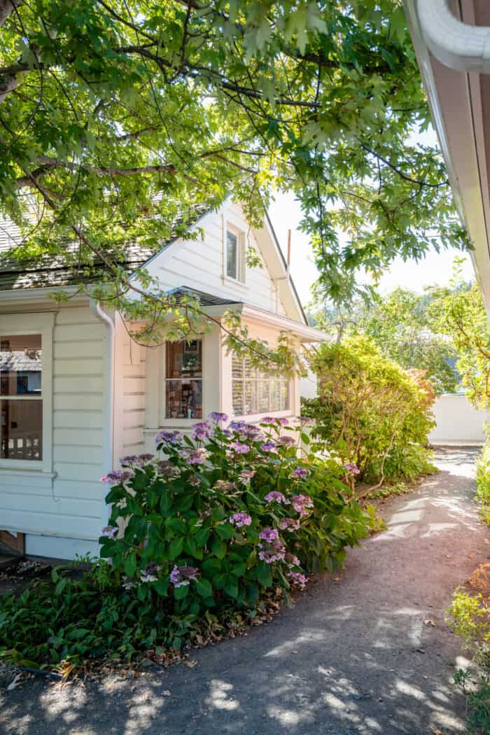 Day Trip From Seattle to Orcas Island - Catherine Vigen